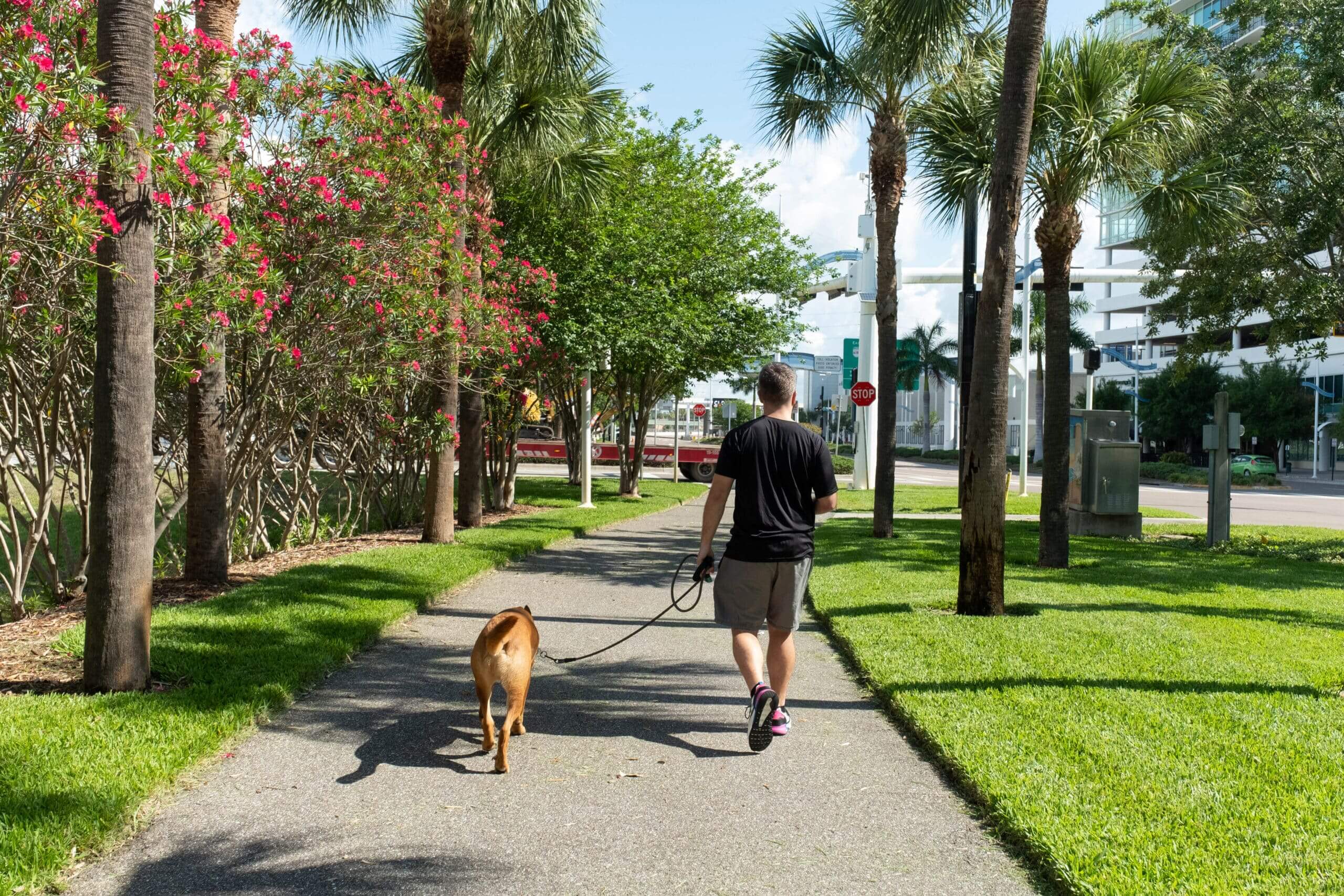 THEA Projects Add Vision Zero Initiatives Tampa Hillsborough